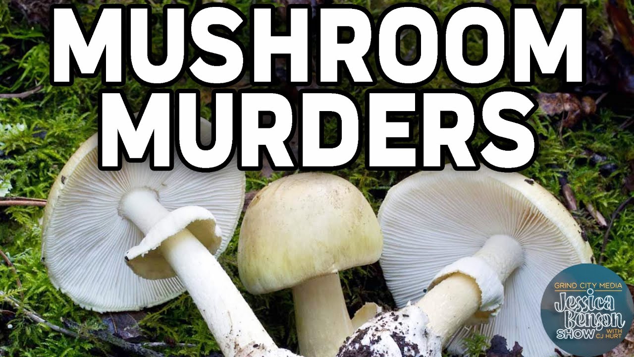 Mushroom Murders: Explaining the WILD STORY | Jessica Benson Show ...